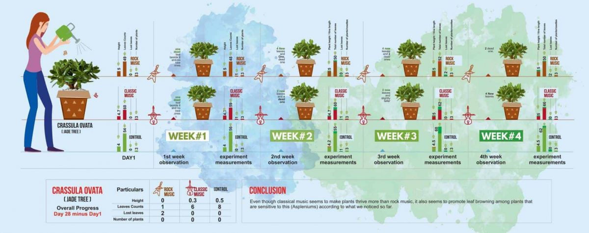 Classical vs Rock Music for Plants to Grow: Plant Experiment - YHMAG