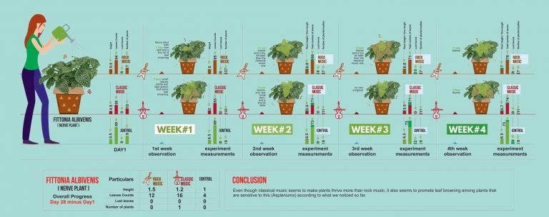 Classical vs Rock Music for Plants to Grow: Plant Experiment - YHMAG