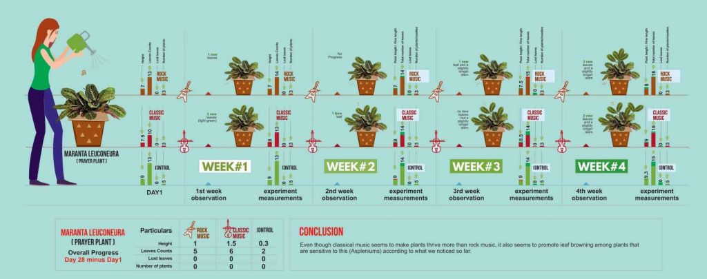 Classical vs Rock Music for Plants to Grow: Plant Experiment - YHMAG
