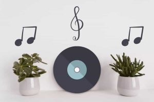 Classical vs Rock Music for Plants to Grow: Plant Experiment - YHMAG